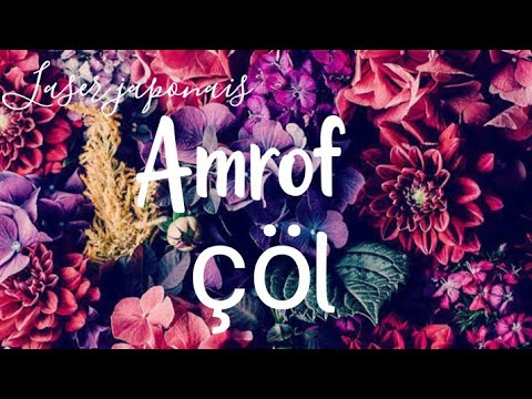 Amorf _ col
