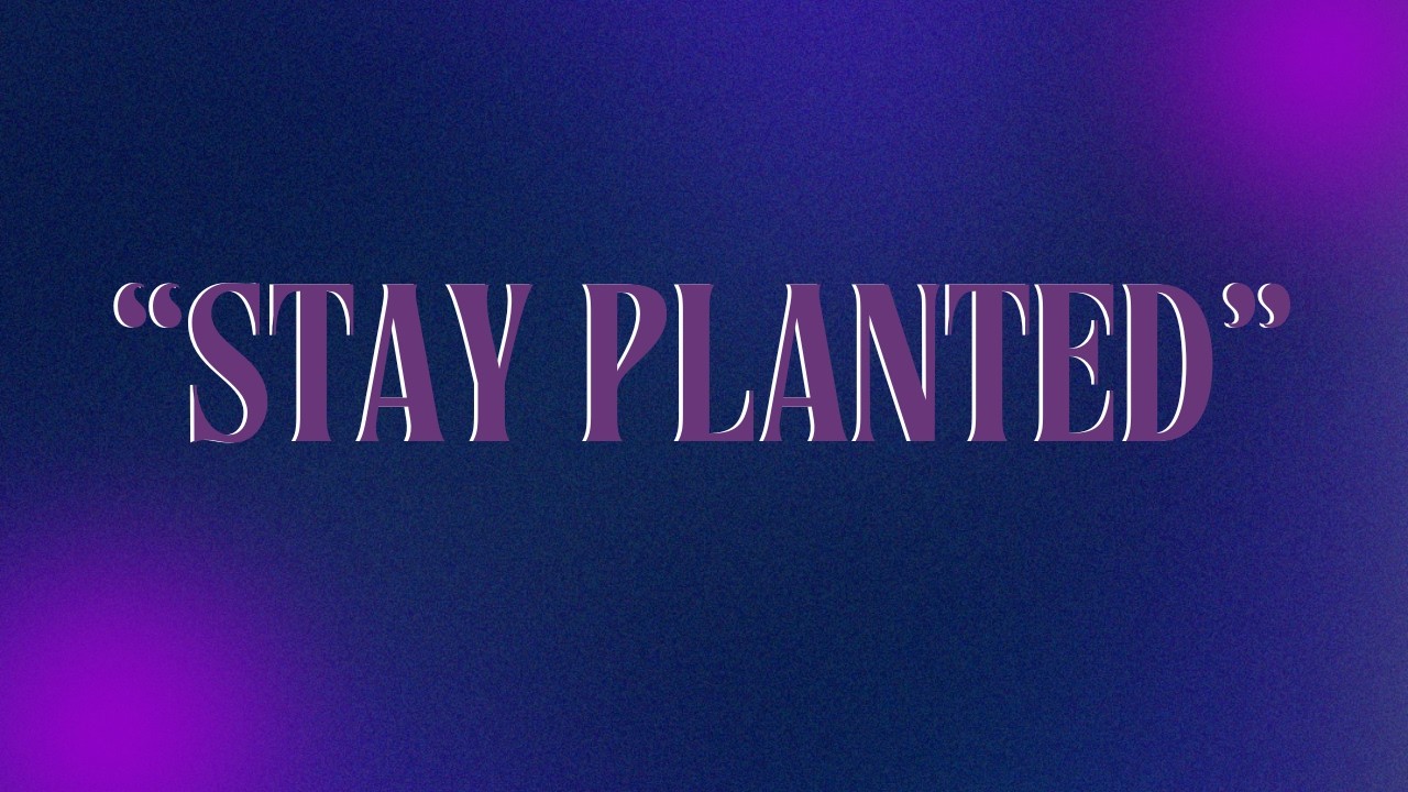 Stay Planted - YouTube