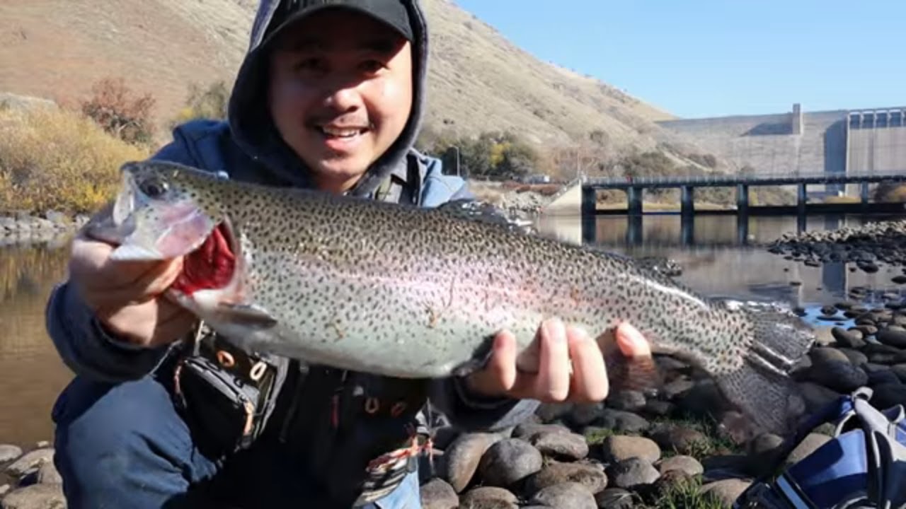 Caught A GIANT TROUT at LOWER KINGS RIVER !!! [CATCH and COOK!](MAN vs ...
