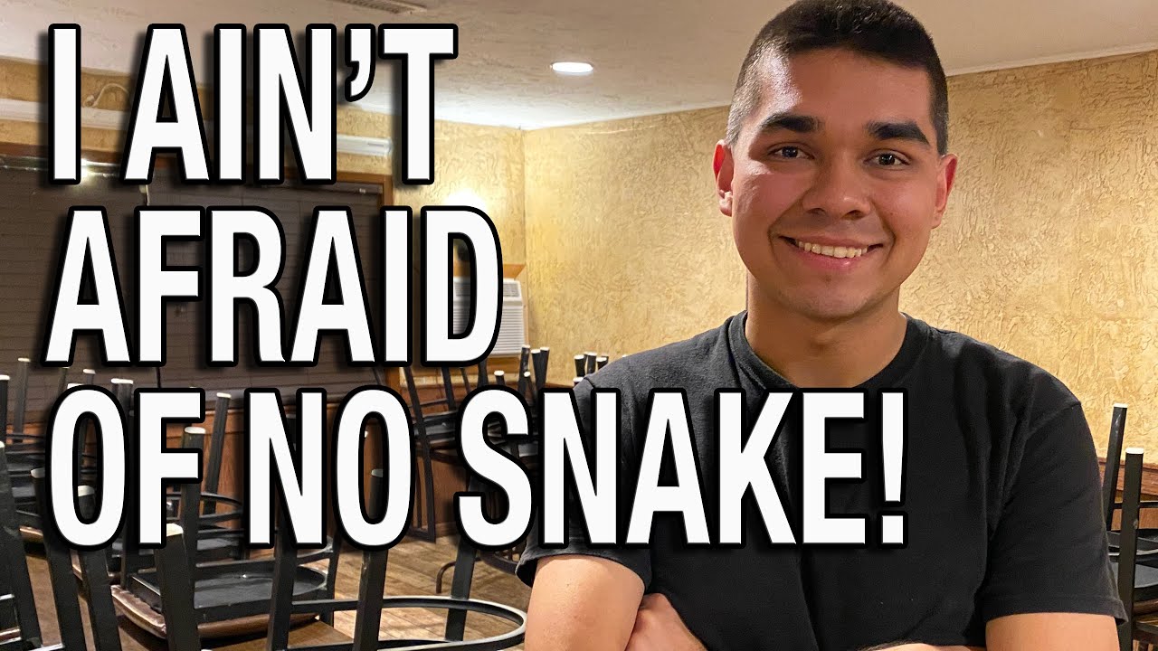 SNAKE AND SHAKE - YouTube