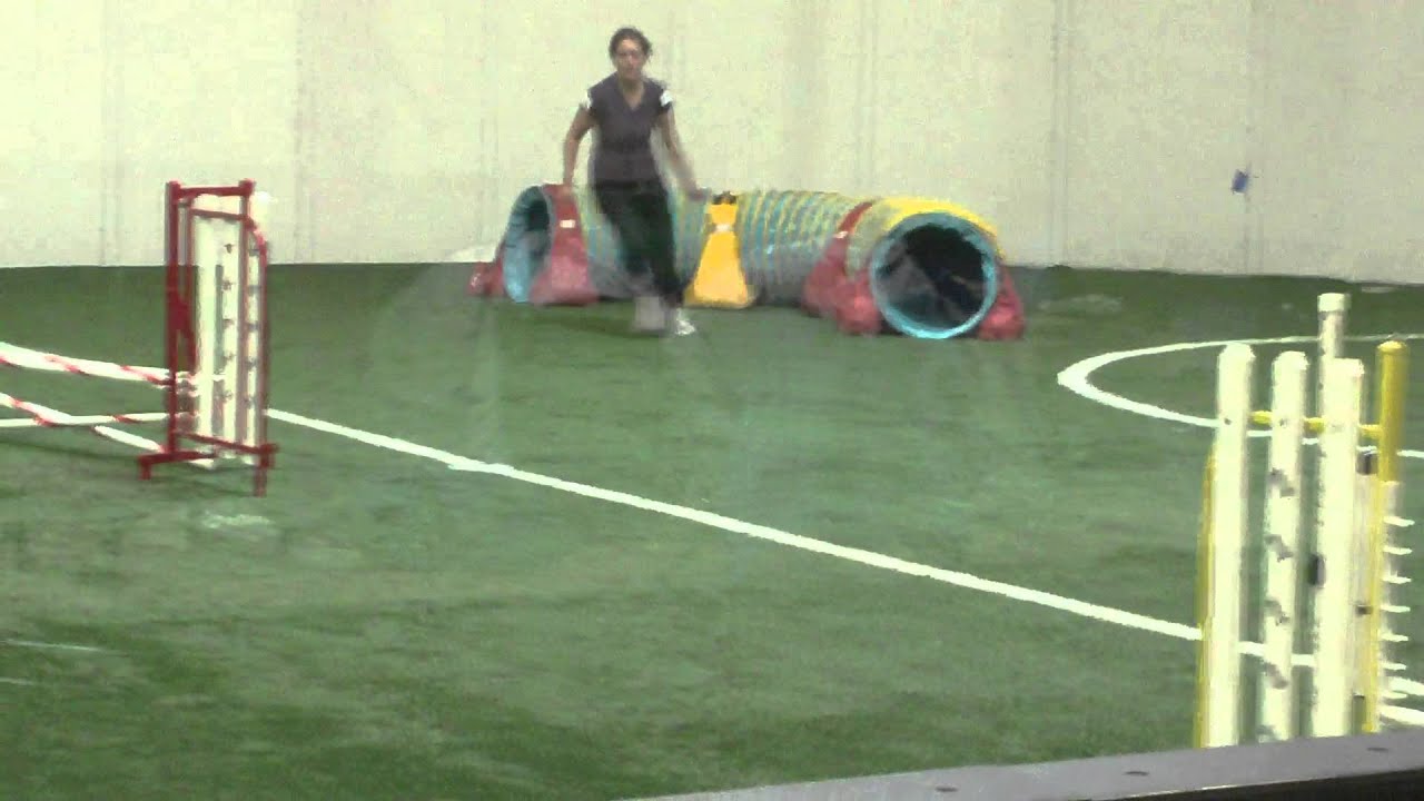Walker 1st Agility Trial JWW - YouTube