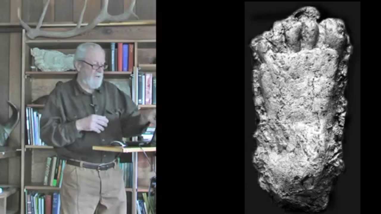 Sasquatch illustrated lecture- Part 2: Sasquatch Tracks and Track Casts ...
