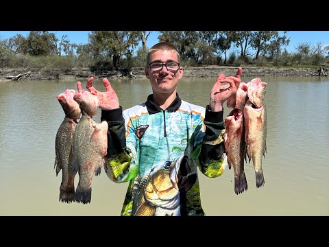 Yella frenzy at RUFUS RIVER - YouTube
