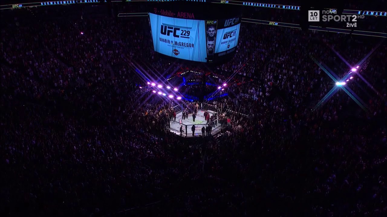 UFC 229 - Deplorable Aftermath - YouTube