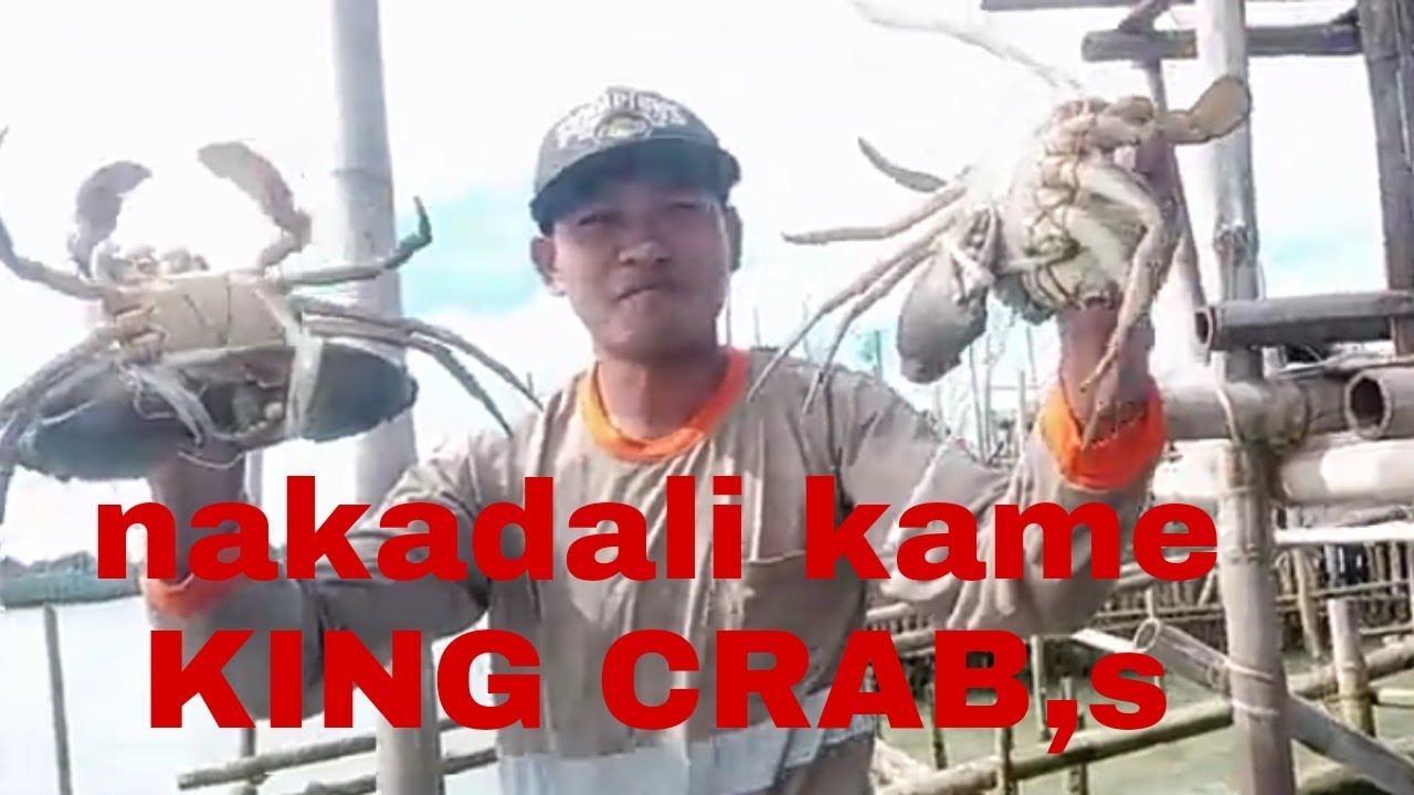 pamamandaw napaka laking KING CRAB ,O7 occ mindoro - YouTube