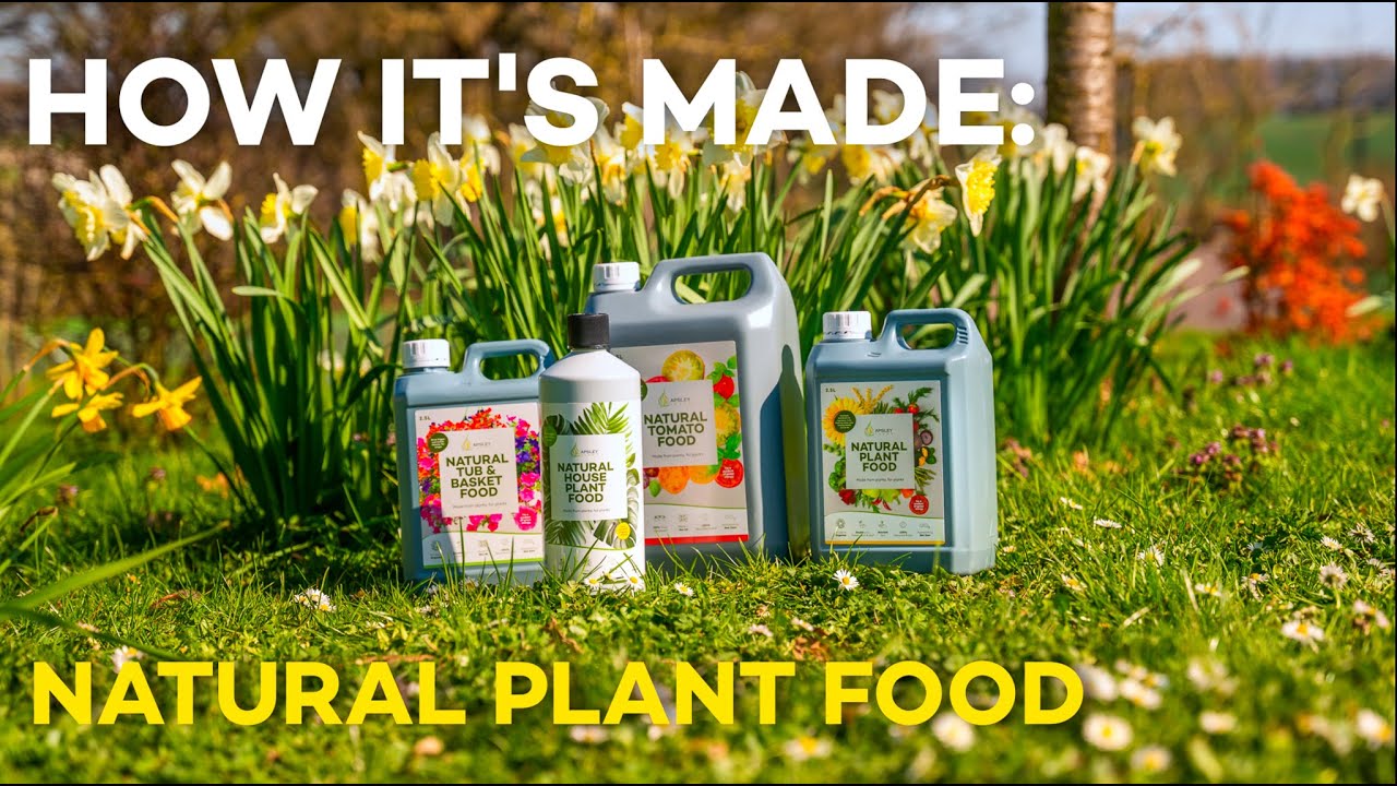 How It's Made: Natural Plant Food - YouTube