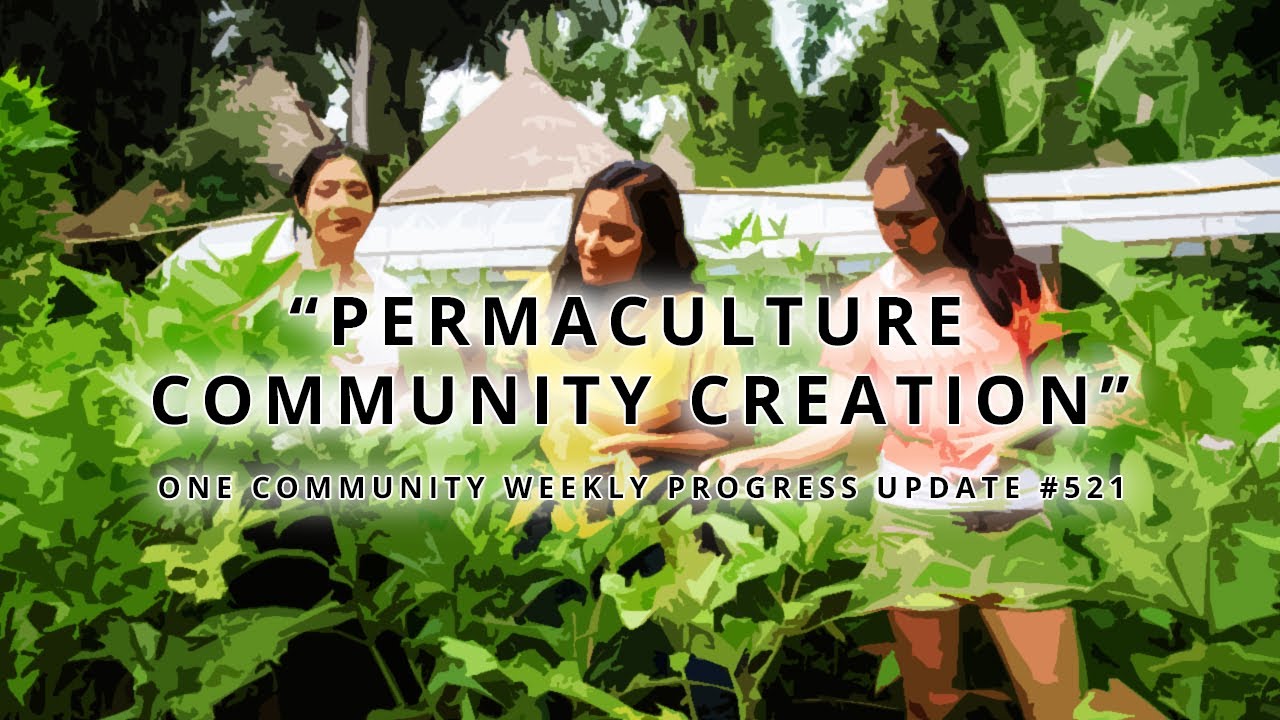 Permaculture Community Creation - One Community Weekly Progress Update #521 - YouTube