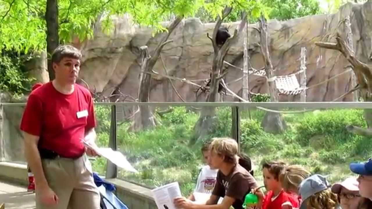 MAC Zoo Tour 2014 - Chimpanzee - YouTube