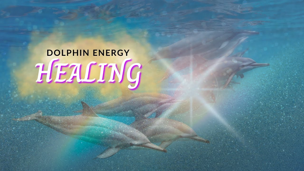 Dolphin Energy Healing Session | Multi-Dimensional Healing for Mind ...
