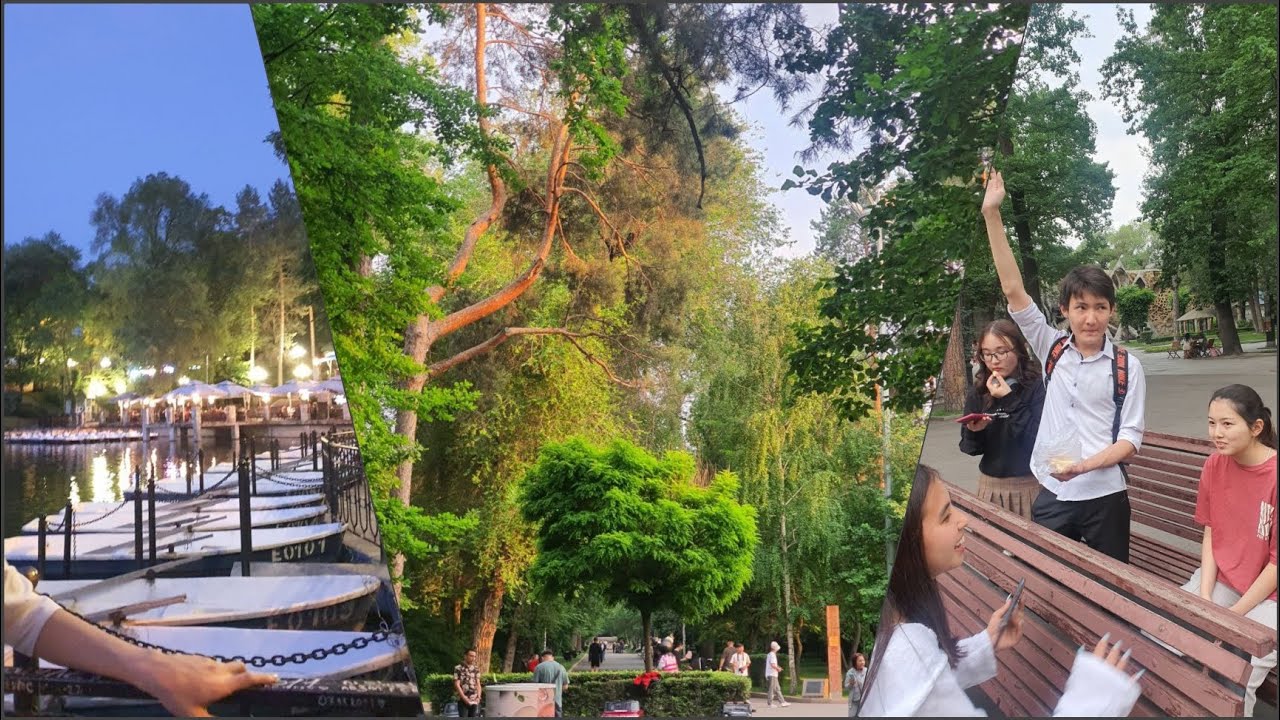 рандом прогулка шай шейк - YouTube