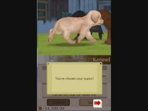 Ready! Set! Review!: Nintendogs - Labrador & Friends - YouTube