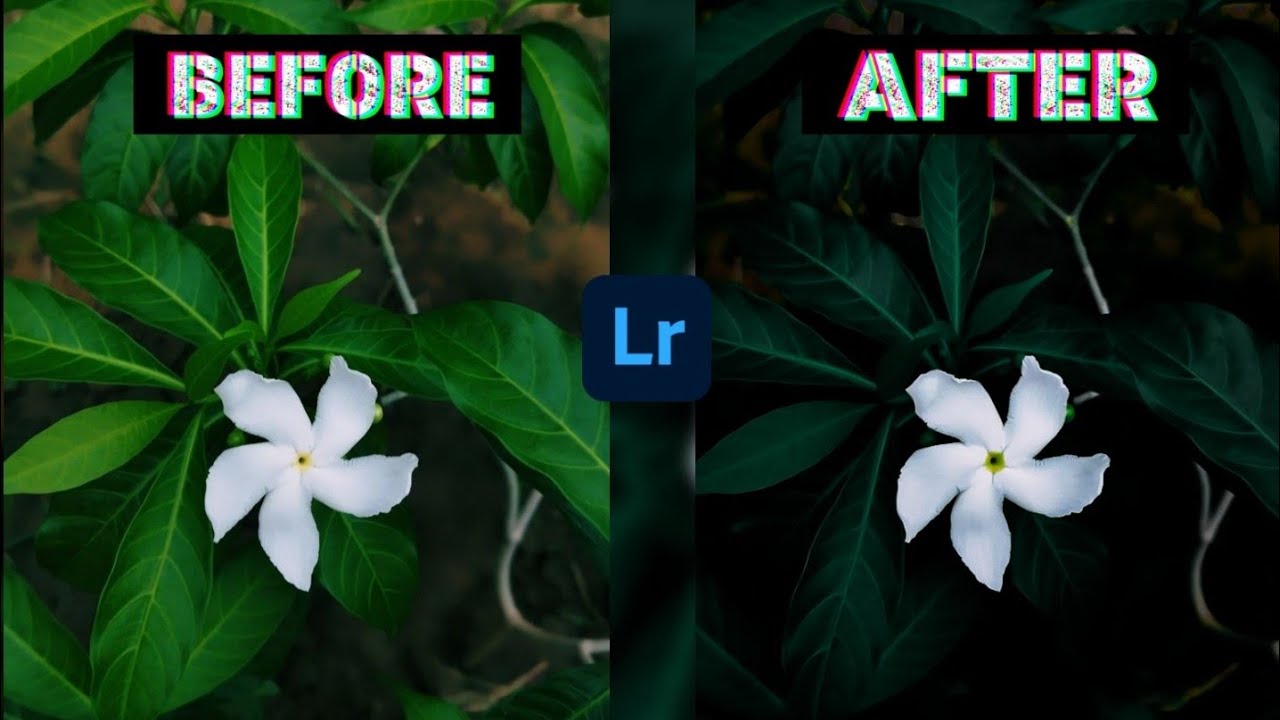 FLOWER EDITING IN MOBILE 📱 || LIGHTROOM EDITING TUTORIAL ️ || # ...