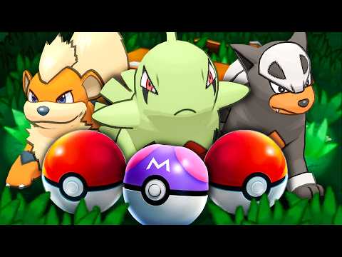 DIESE Pokémon Nuzlocke hast DU noch nie gesehen!