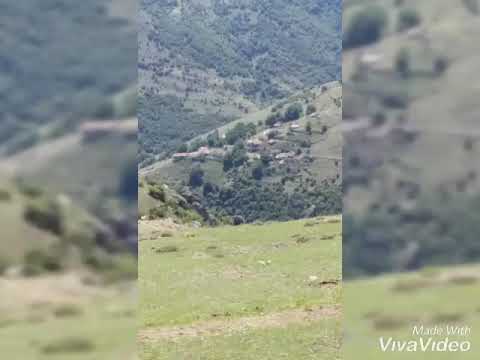 Lerik rayon tulu kendi cekdi Tural