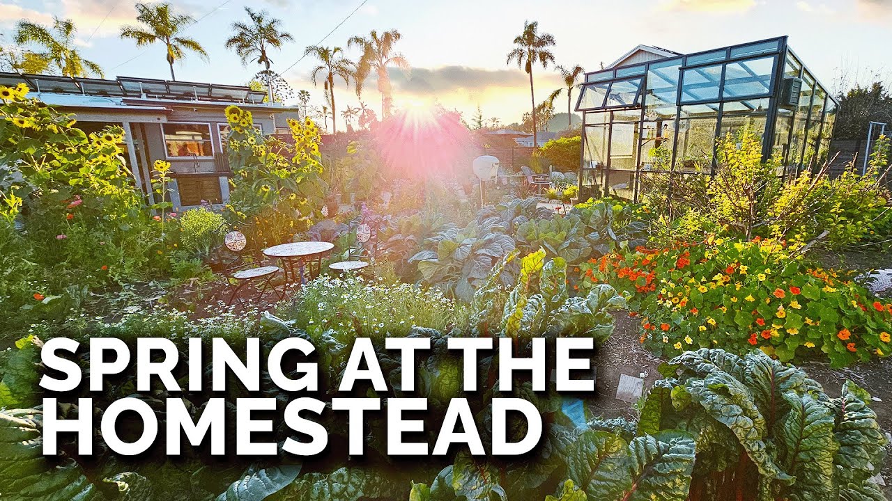 Spring Homestead Tour! It's Never Looked Better... - YouTube