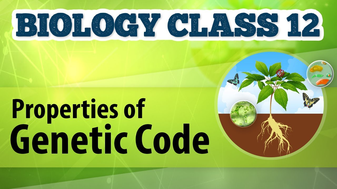 Properties of Genetic Code - Molecular Basis of Inheritance - Biology ...