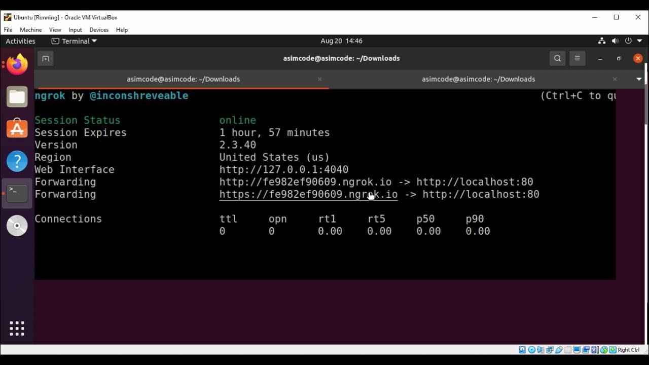 How to Use ngrok to Easily Share your localhost server to the internet - YouTube