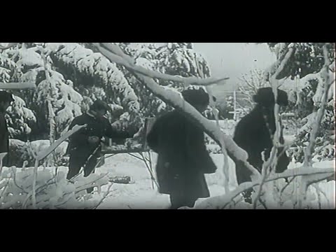 Bakıda qarlı gün | Kinoxronika (1972)