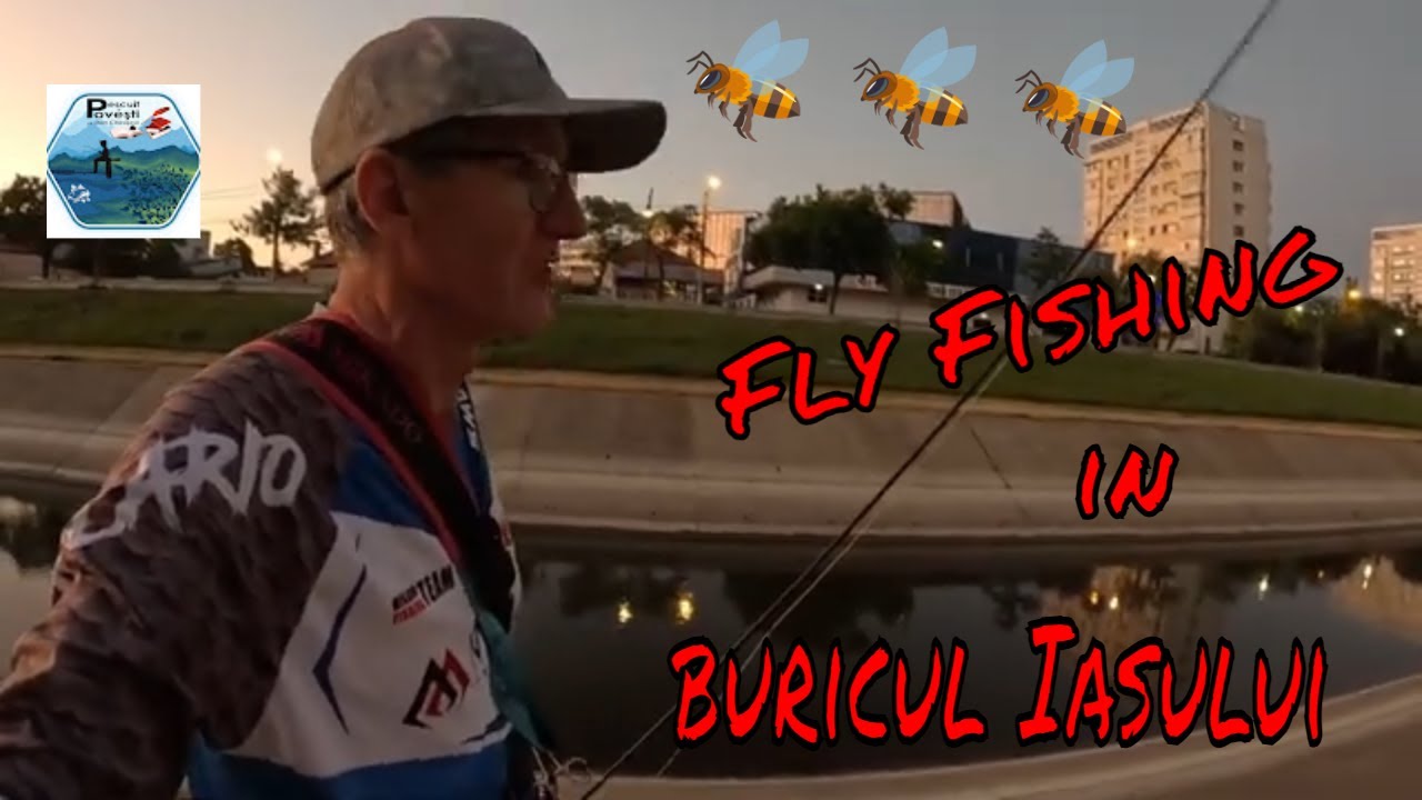 Fly Fishing în buricul Iașului - Cleni mulți dar mici! - YouTube