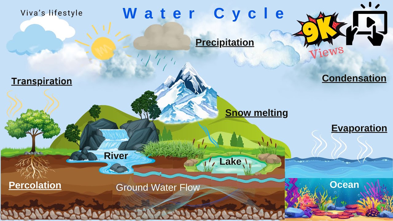 Water Cycle - YouTube