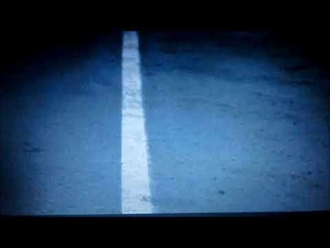 Leslie Nielsen, Sehr verdächtig (wrongfully accused), Bear-scene