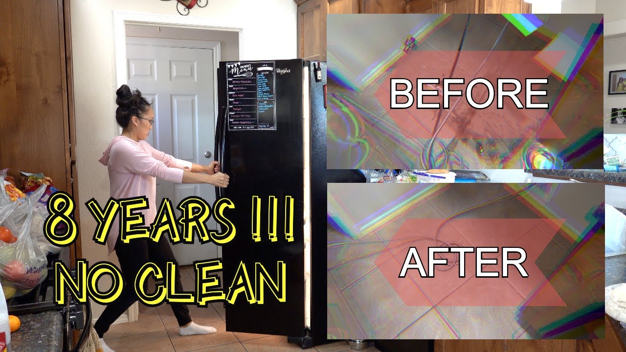 CLEANING BEHIND MY FRIDGE FOR THE FIRST TIME IN 8 YEARS: SPEED CLEANING ...
