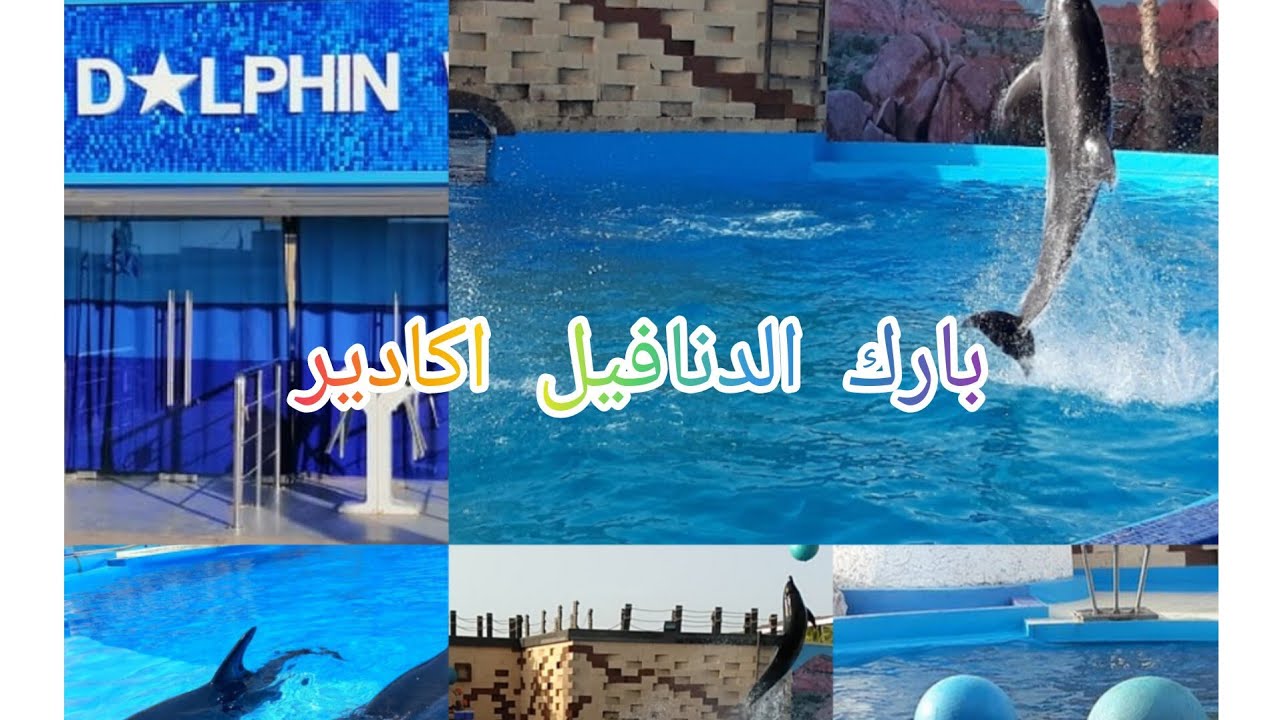 Agadir Dolphin World 🤩 agréable soirée - YouTube