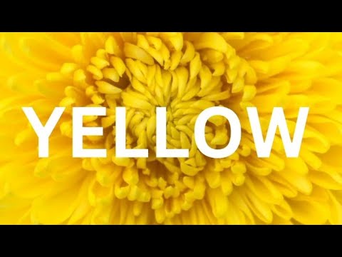 Yellow/learning yellow/learning yellow objects - YouTube