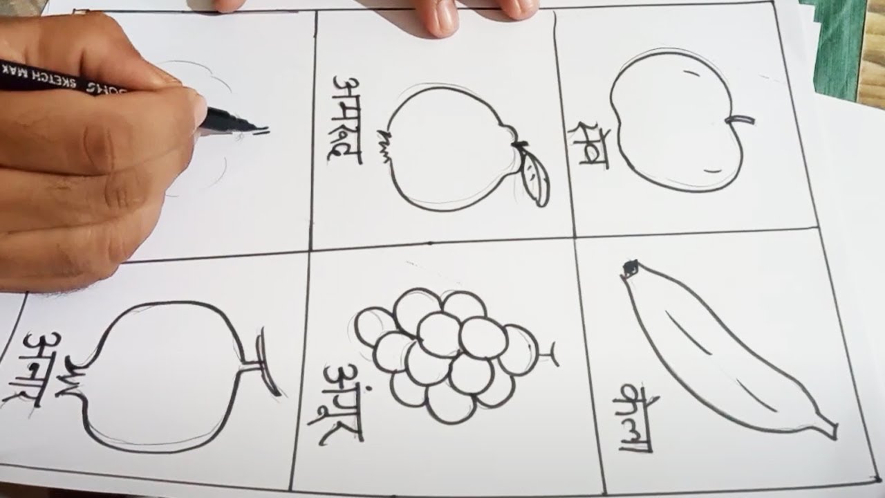 Fruits Drawing Worksheets