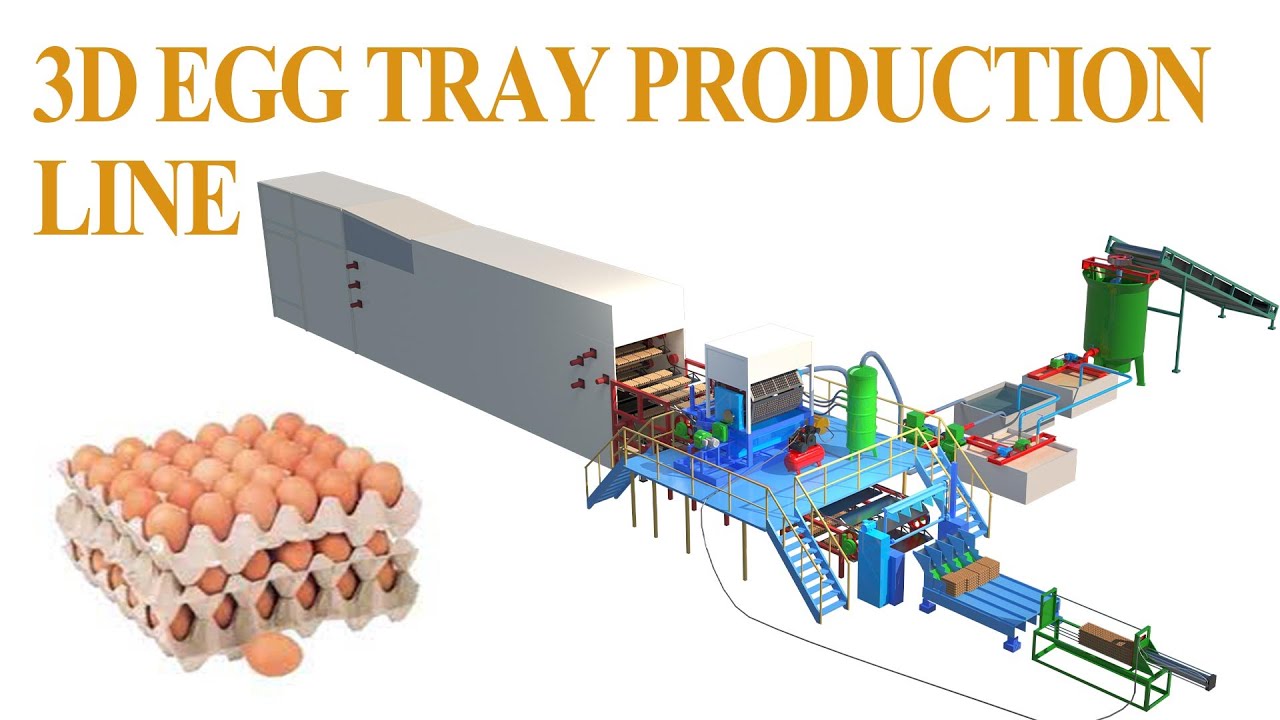 Efficient Egg Tray Production Line: Step-by-Step Process Revealed in ...
