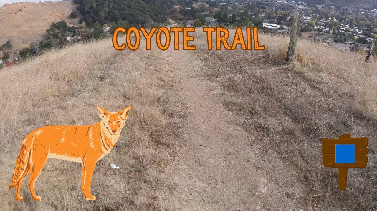 Coyote Trail - YouTube