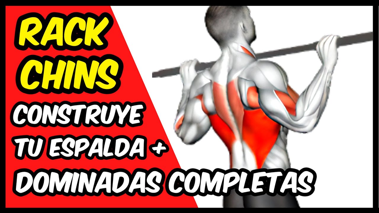RACK CHINS | Cómo hacerlos en 1 MIN Consigue primera DOMINADA COMPLETA ...