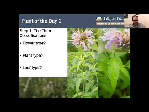 A List Of Iowa Native Plants