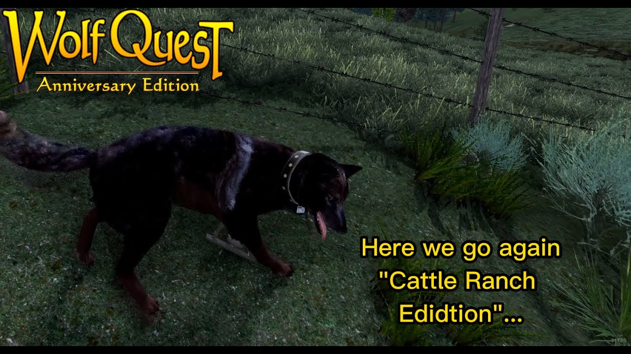 Multiplayer Shenanigan's # 2 "Cattle Ranch Edition" (WolfQuest ...