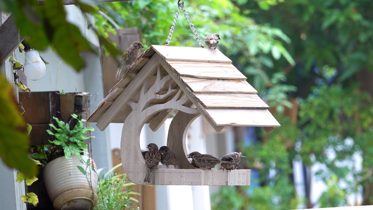 How to make a wooden bird feeder from solid wood - YouTube