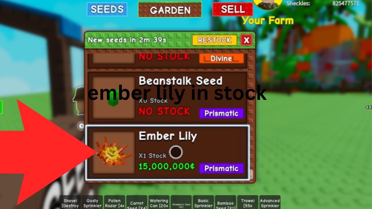 getting ember lily in stock in grow a garden. - YouTube