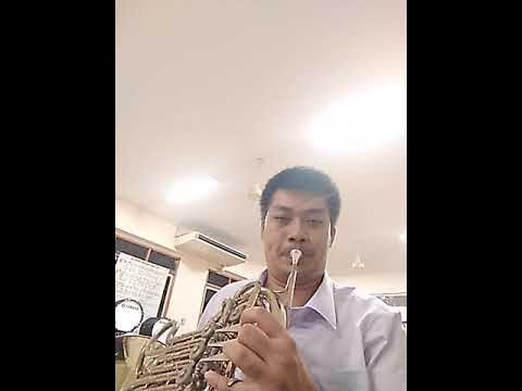 Start practicing my F horn. day 94 : Chromatic and 5P v.2 - YouTube