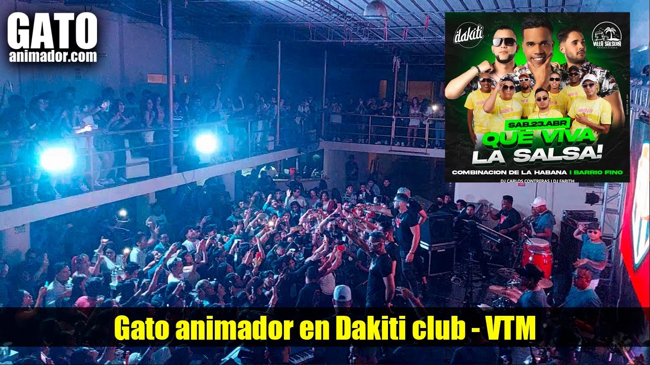 Gato animador en Dakiti club - 2022 - YouTube
