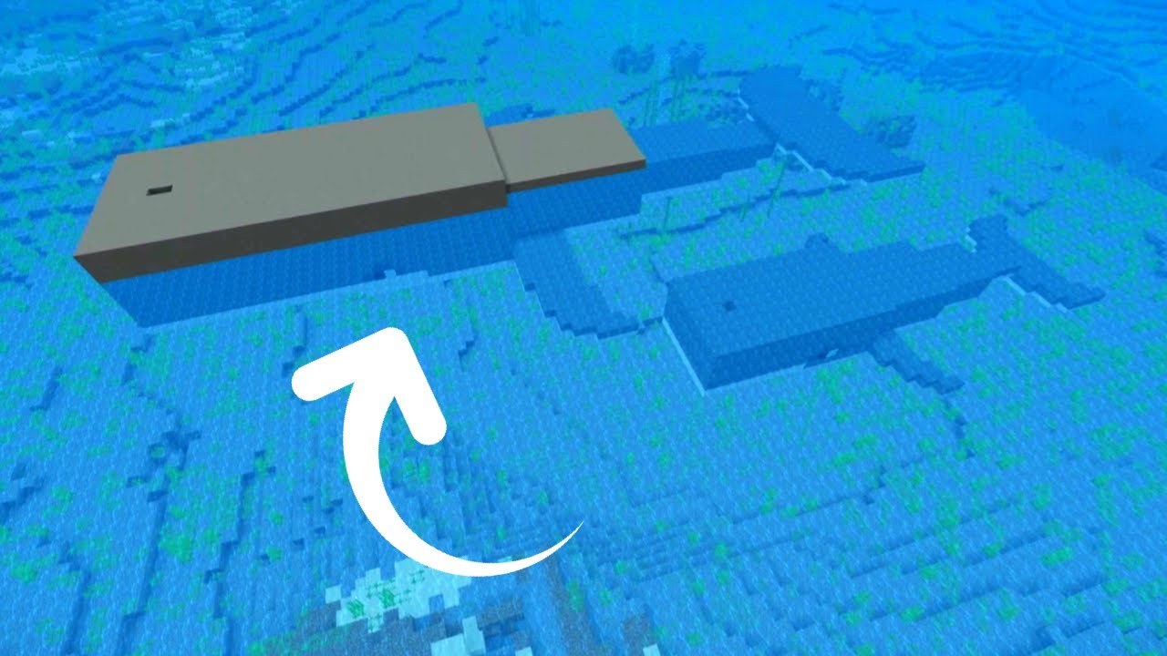 How To Build A Whale in The Minecraft Style - YouTube