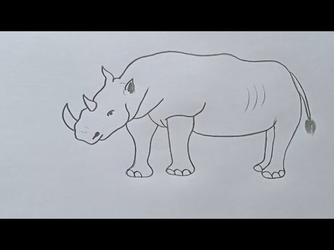 how to draw a rhino|easy rhino drawing - YouTube
