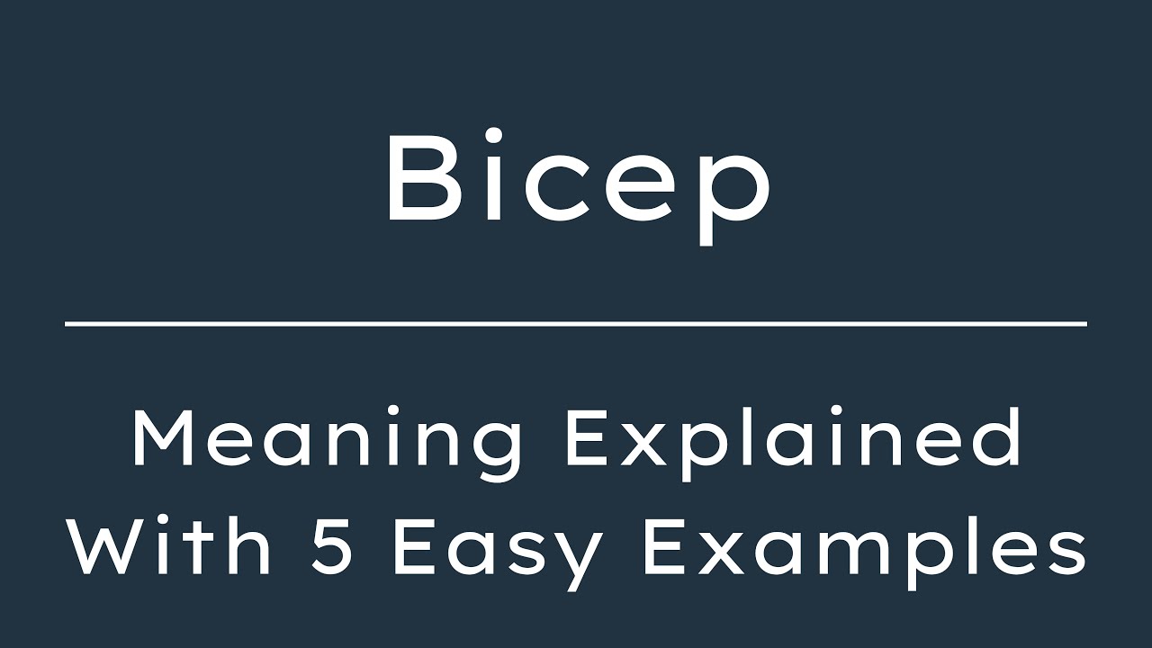 What Does Bicep Mean? Bicep Meaning in English With 5 Example Sentences ...