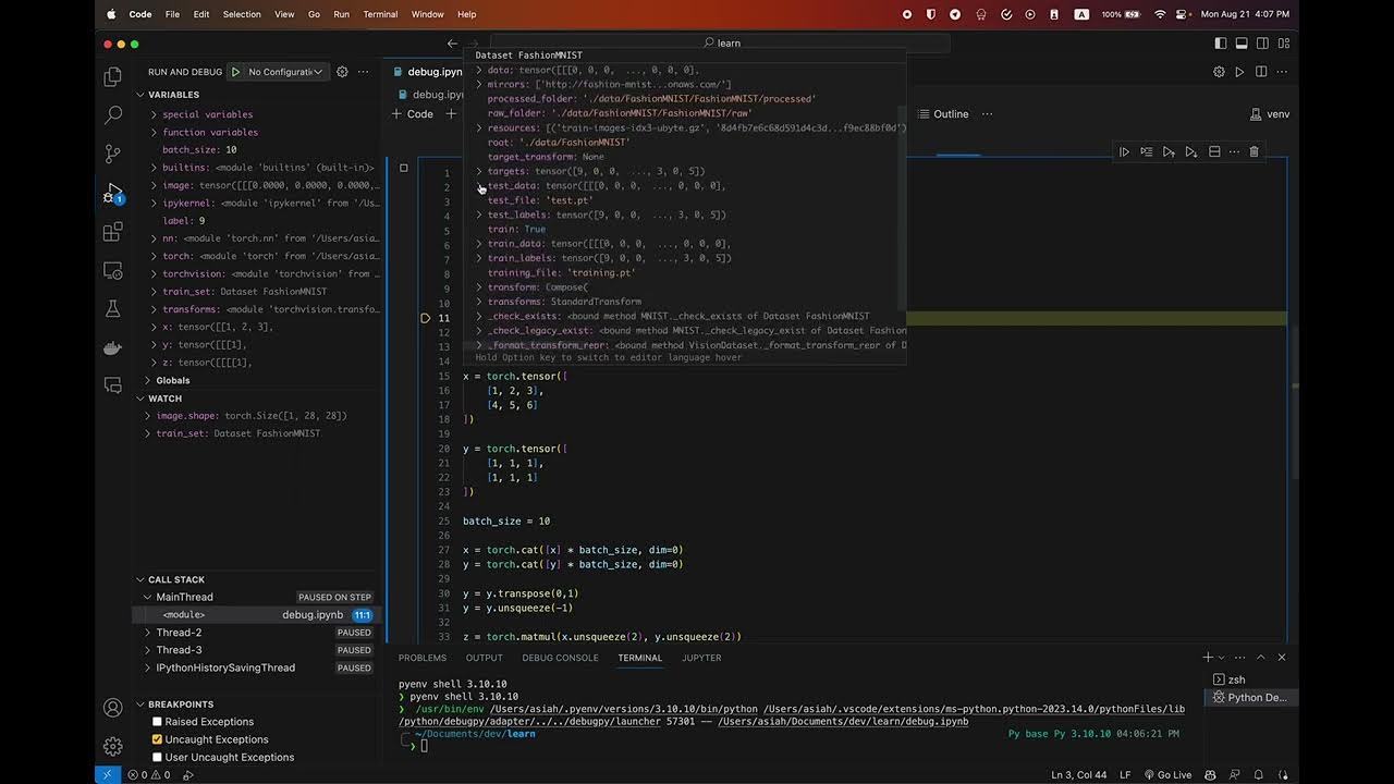 Debugging Tensors and Datasets in PyTorch - YouTube