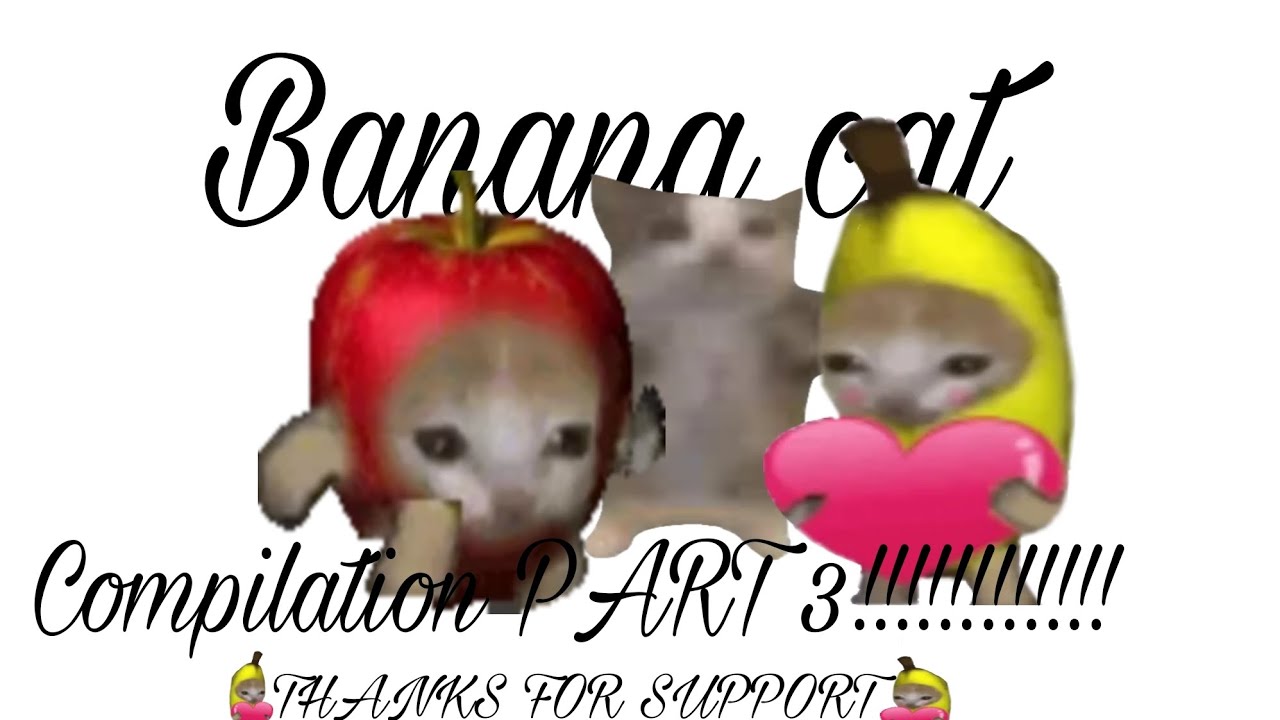 banana cat compilacion ( compilation) (банановый кот) - YouTube