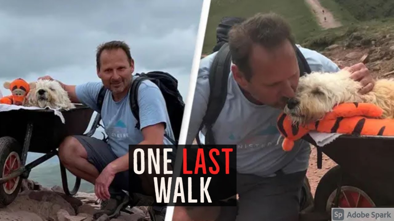 Man Takes His Dying Dog In Wheelbarrow For One Last Walk Together - YouTube