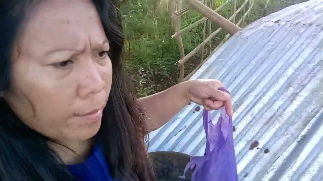 NAG PUNTA AKO SA GARDEN PARA MAG TANIM NG KAMOTE - YouTube