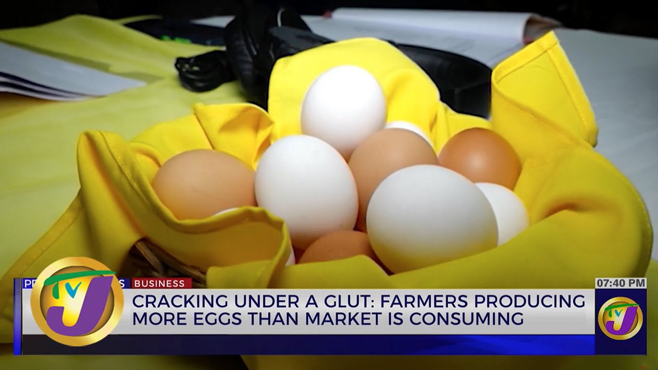 Cracking Under a Glut: Famers Producing More Eggs Than Market is ...