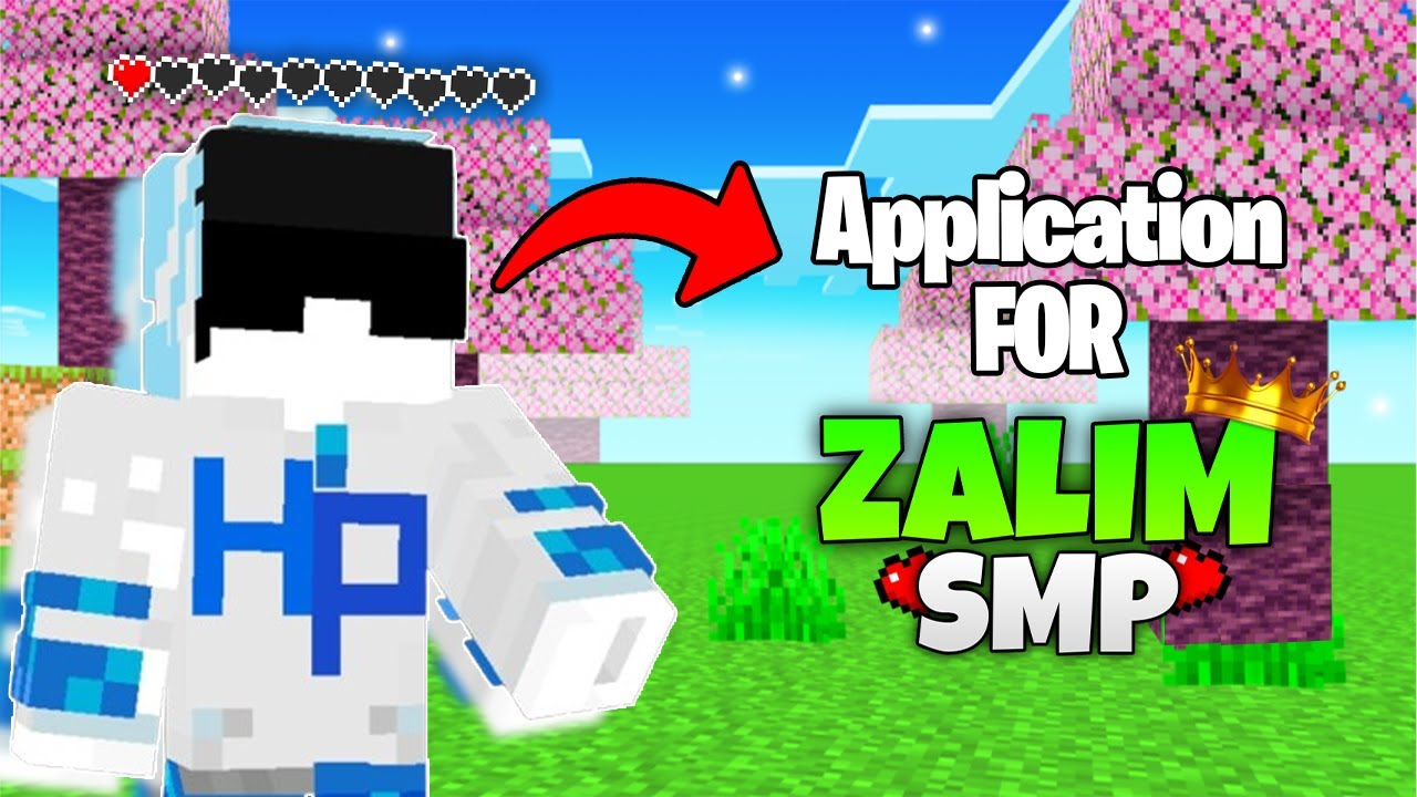 My Application For Zalim SMP | @Zalim_FR #zalimsmpapplication - YouTube