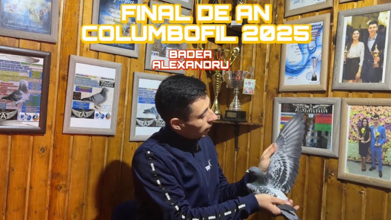 Final de an columbofil 2025 - Badea Alexandru - YouTube