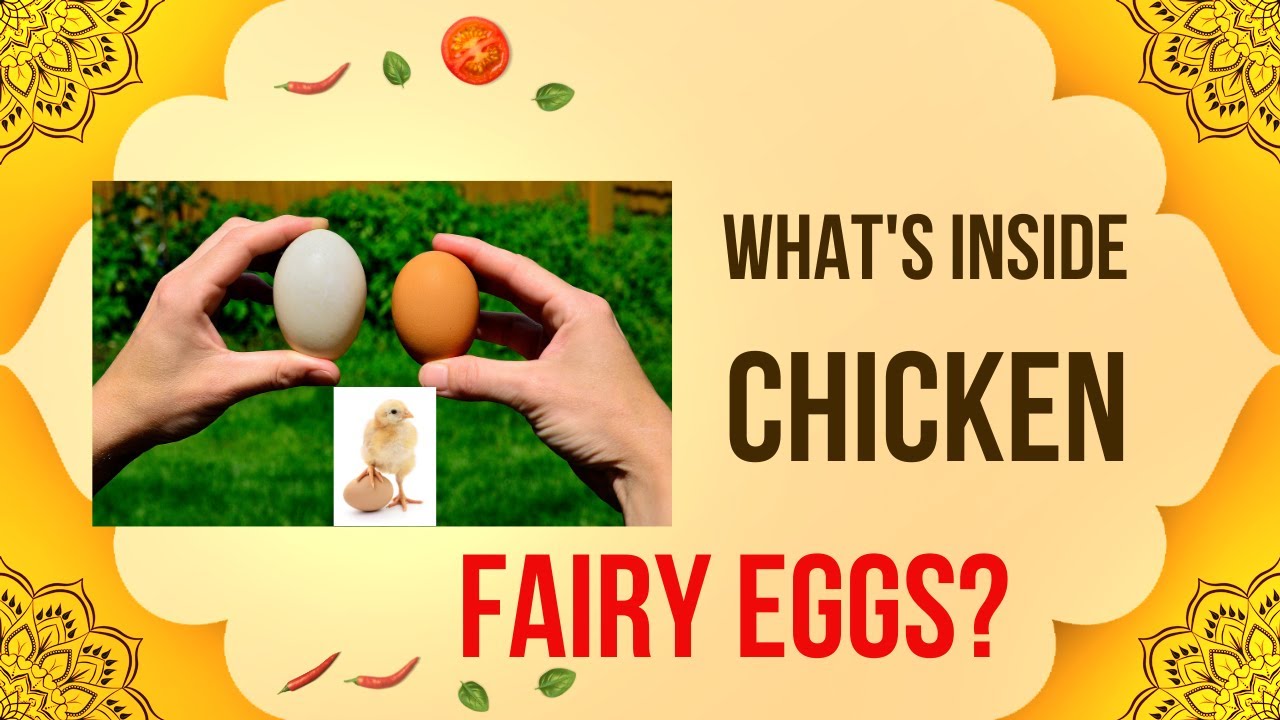 What's Inside A Fairy Chicken Egg - YouTube