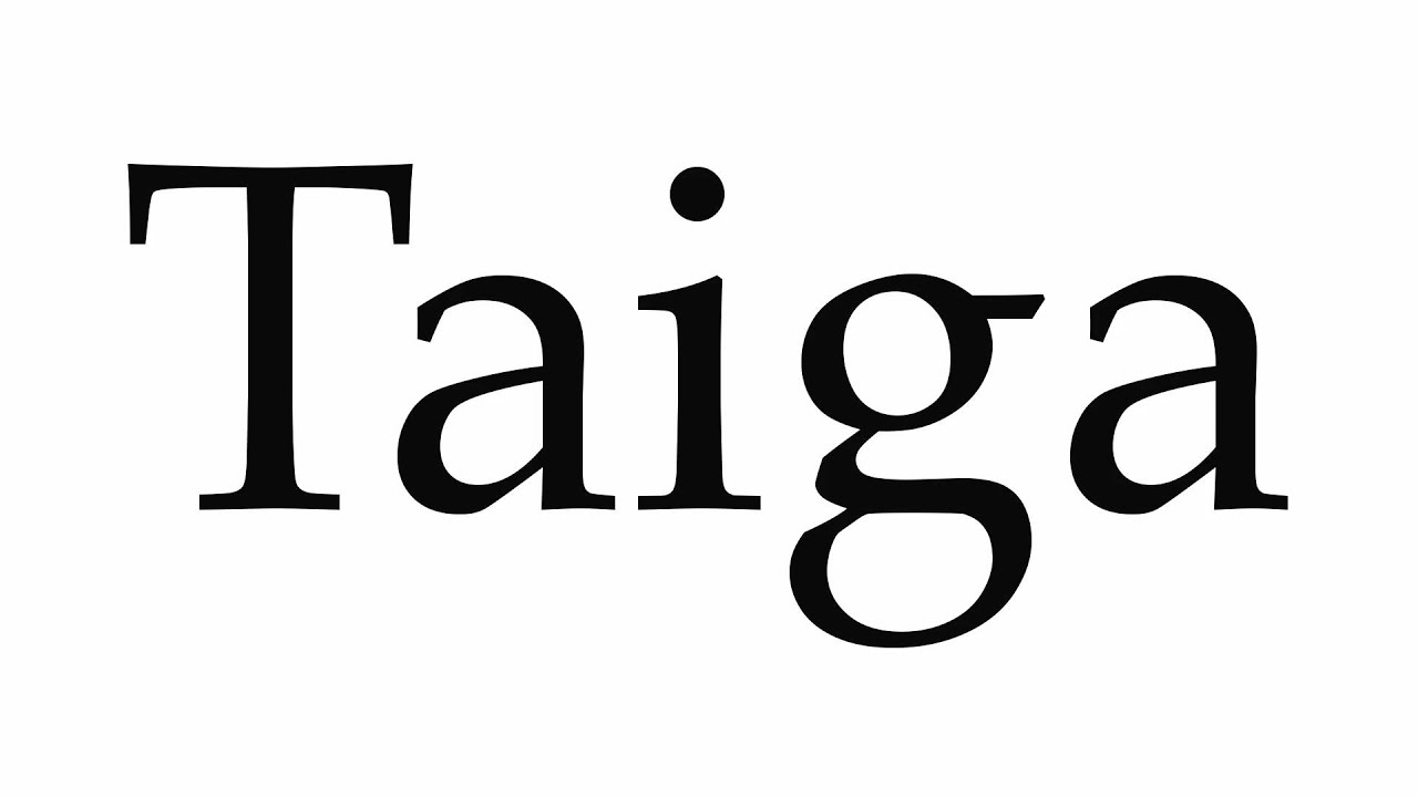 How to Pronounce Taiga - YouTube